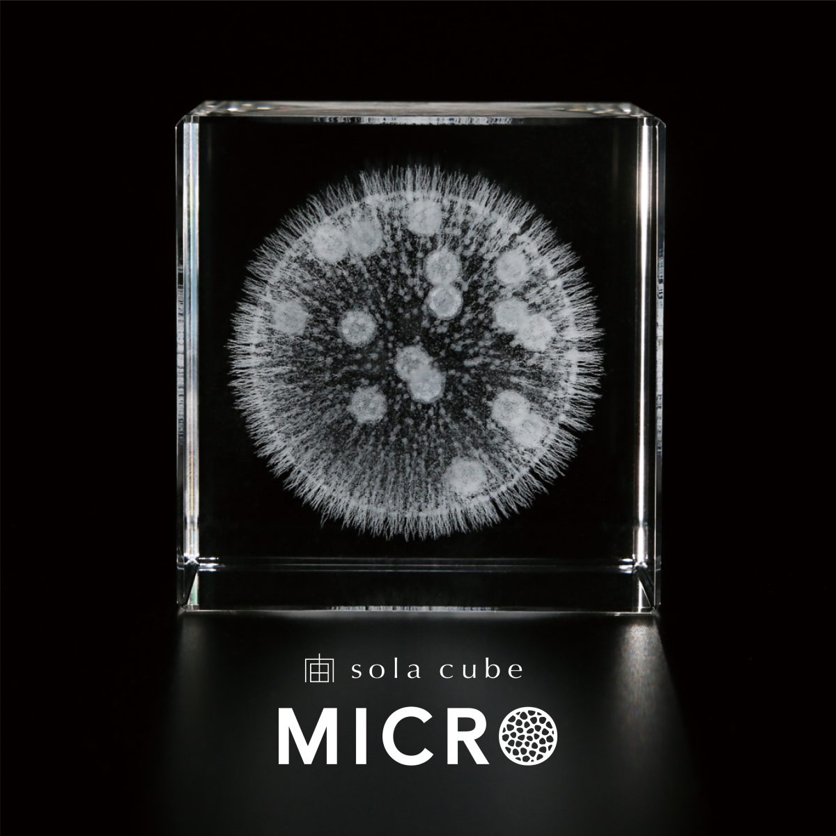 Sola cube Micro – 株式会社ウサギノネドコ