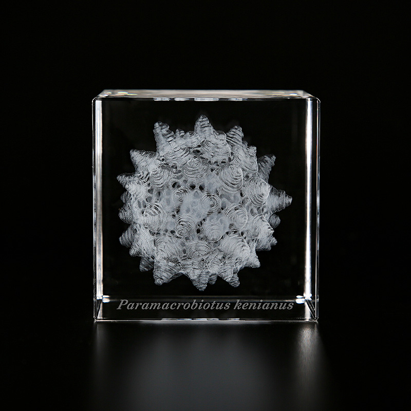 Sola cube Micro / Products – 株式会社ウサギノネドコ