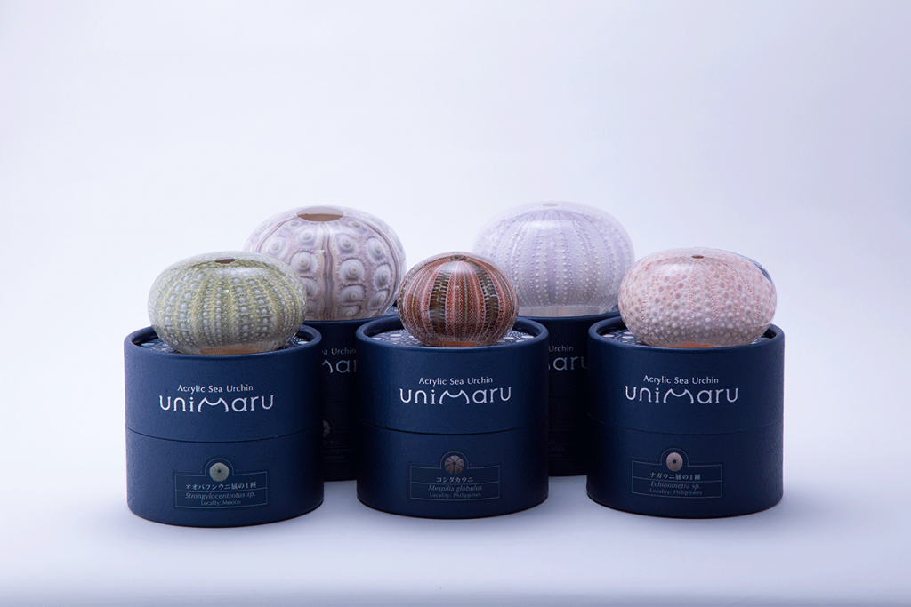 Unimaru / Pictures – 株式会社ウサギノネドコ