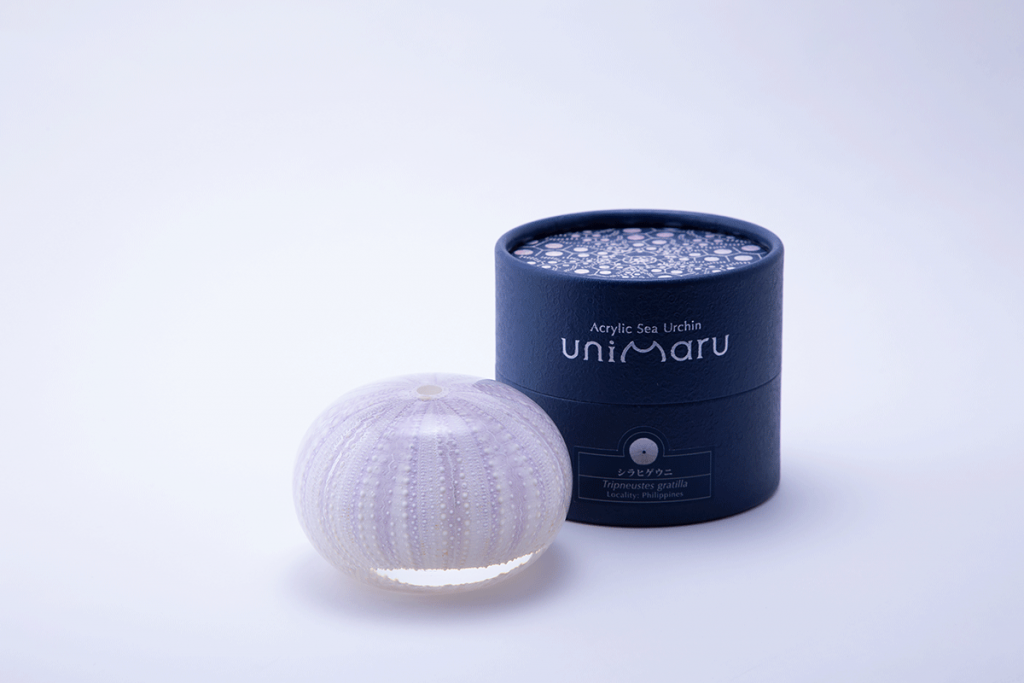 Unimaru / Pictures – 株式会社ウサギノネドコ