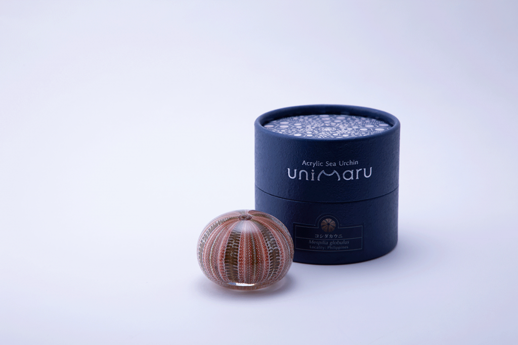 Unimaru / Pictures – 株式会社ウサギノネドコ